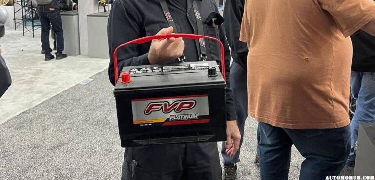 FVP Batteries Reviews in 2024 [Everything You Need to Know]